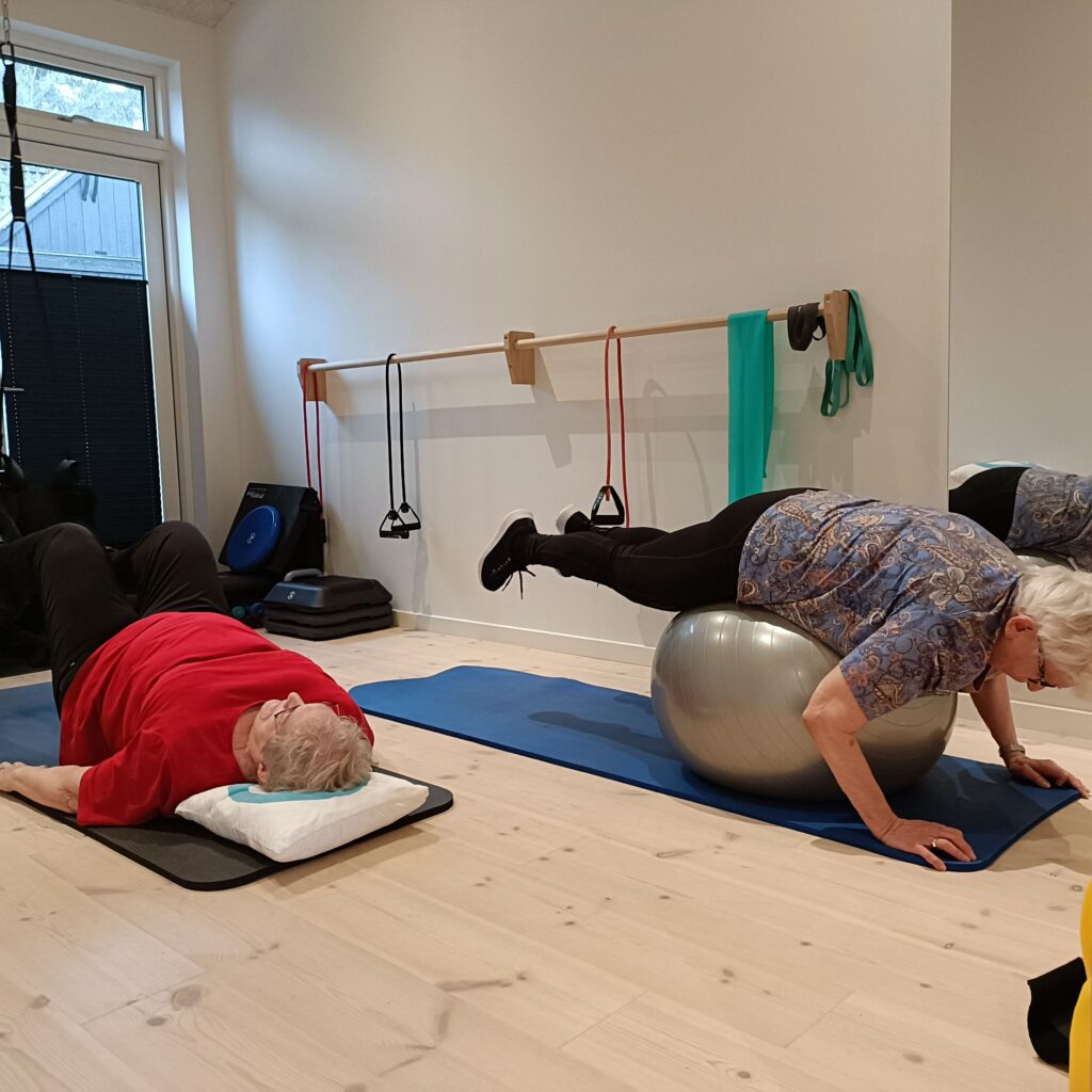 Dameholdet - Skovens Fysioterapi